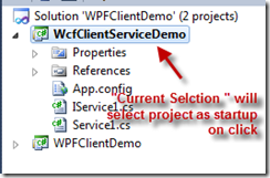 : How to setup multiple startup projects in Visual Studio
